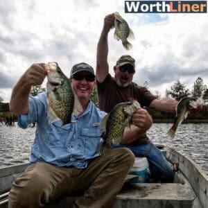 David Ellis Yawt Yawt Net Worth – Wife, Age, Height - Worth Liner